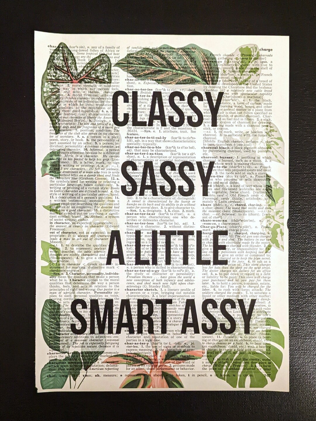 Classy, Sassy, Smart Assy Dictionary Print - Etsy