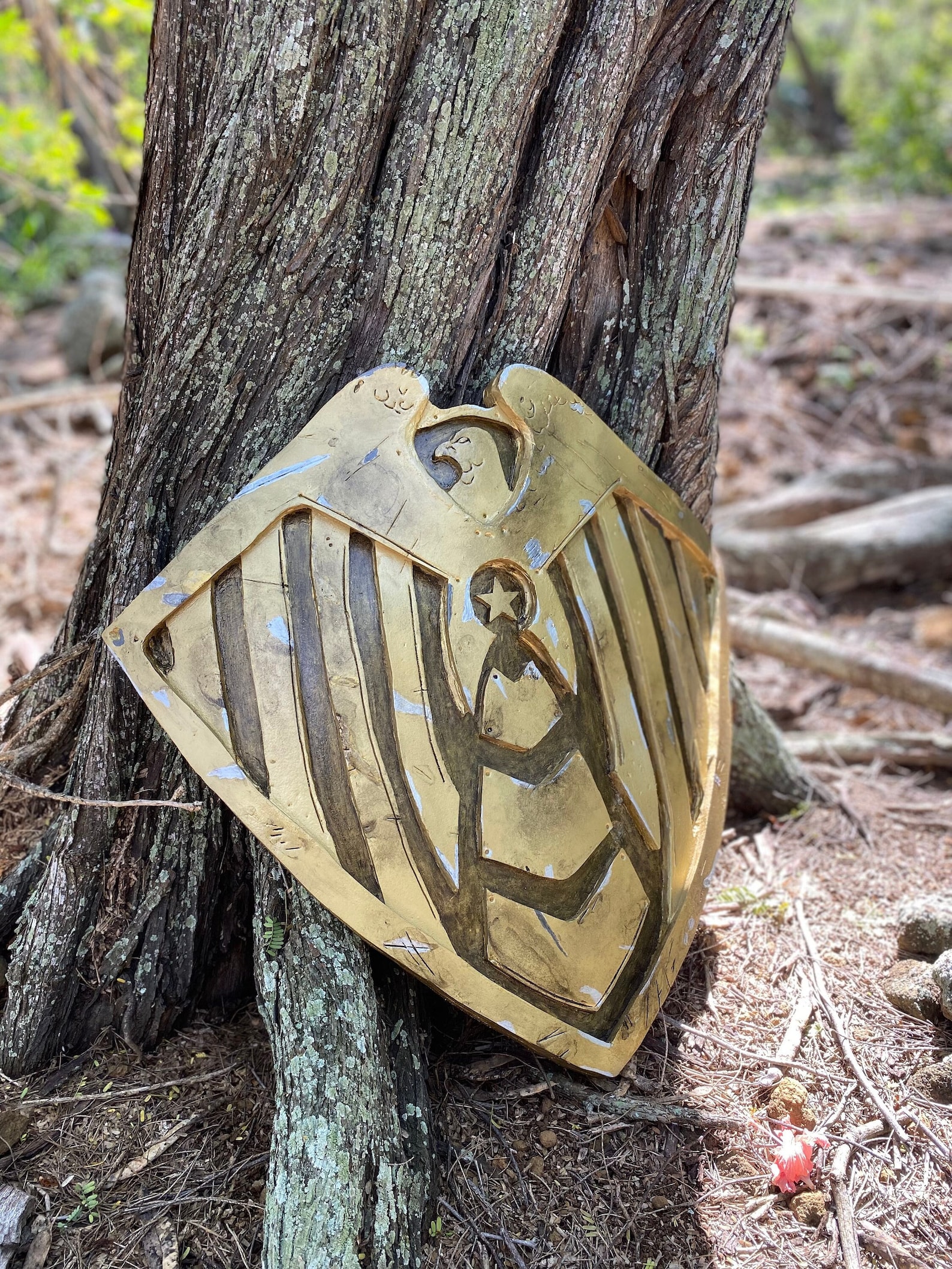 Soldier Boy Shield PRINT-READY PDF Template W/ Guides - the Boys ...