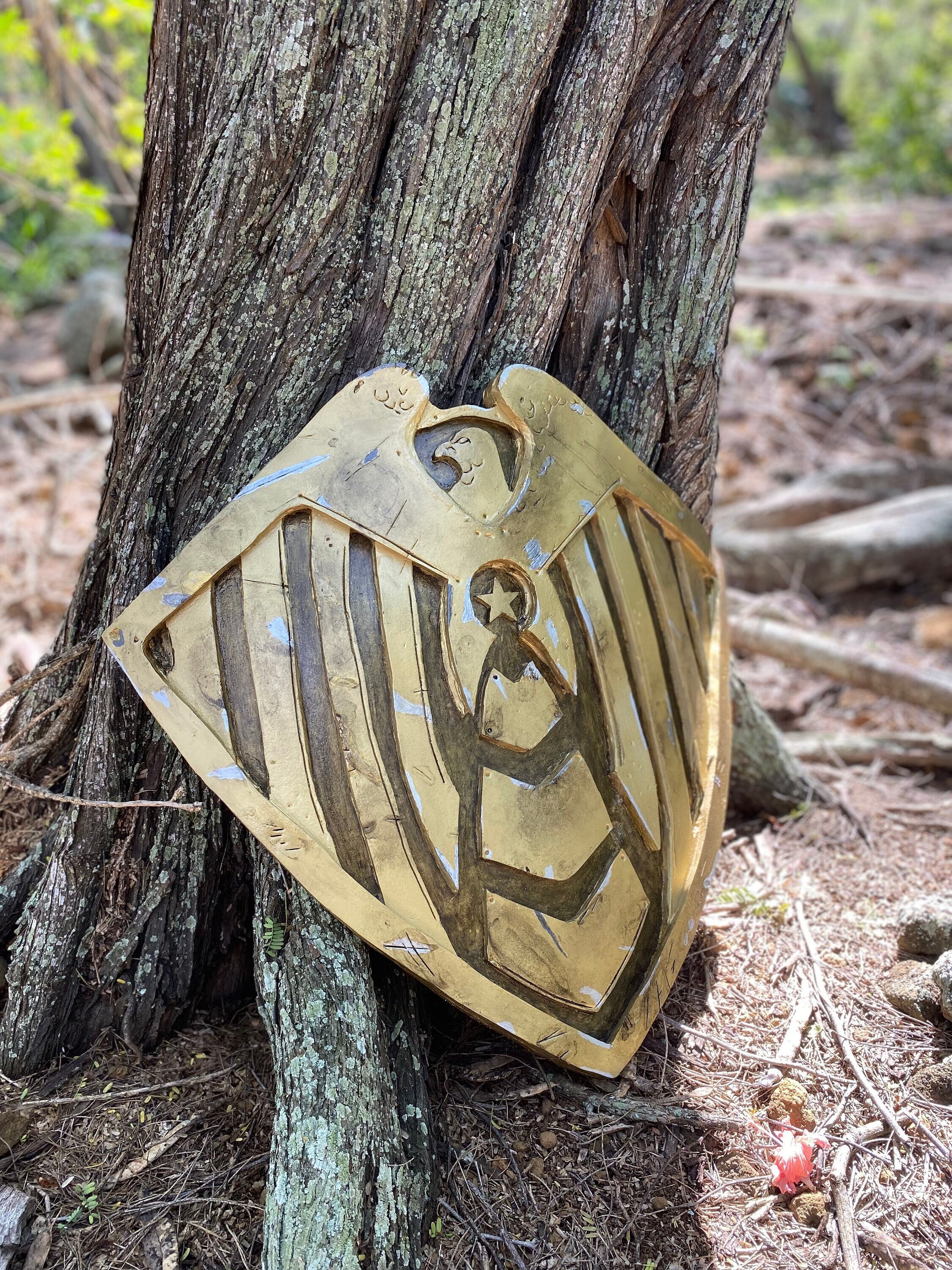 Soldier Boy Shield PRINT-READY PDF Template W/ Guides - the Boys ...