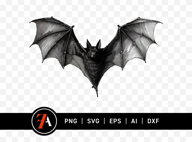 Halloween Bat SVG Realistic Bat Illustration Vector Bat - Etsy
