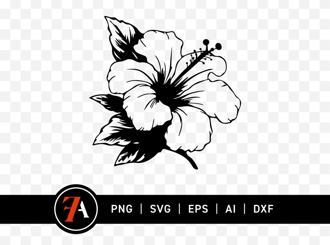 Hibiscus Hawaii Flower Illustration Exotic Clipart Vector Tropical ...
