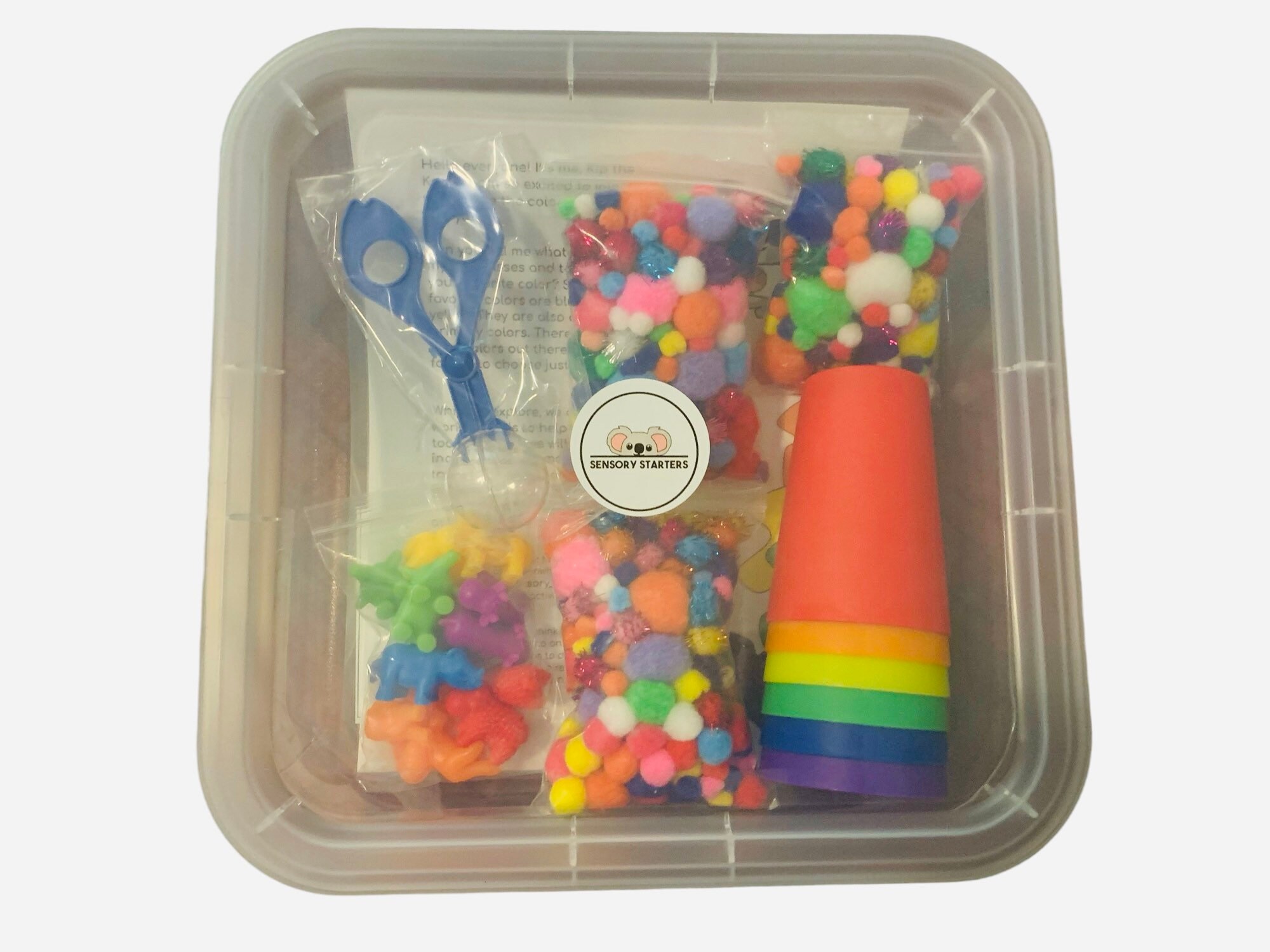 All Things Color Sensory Bin - Etsy