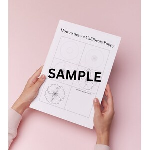 How to Draw Wildflowers PRINTABLE DIGITAL DOWNLOAD Worksheet ...