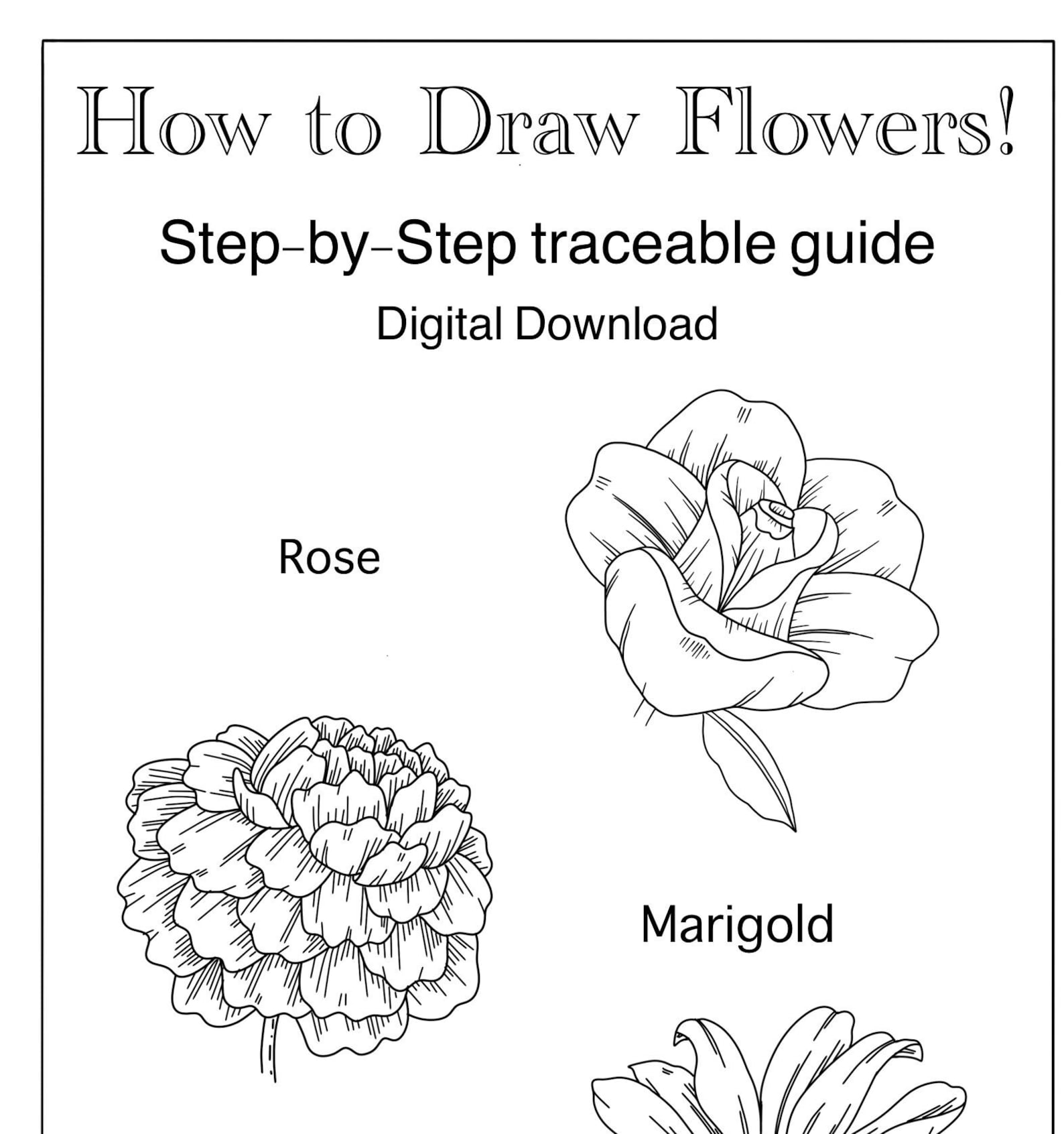 How to Draw Flowers, PRINTABLE DIGITAL DOWNLOAD, Traceable, Rose ...