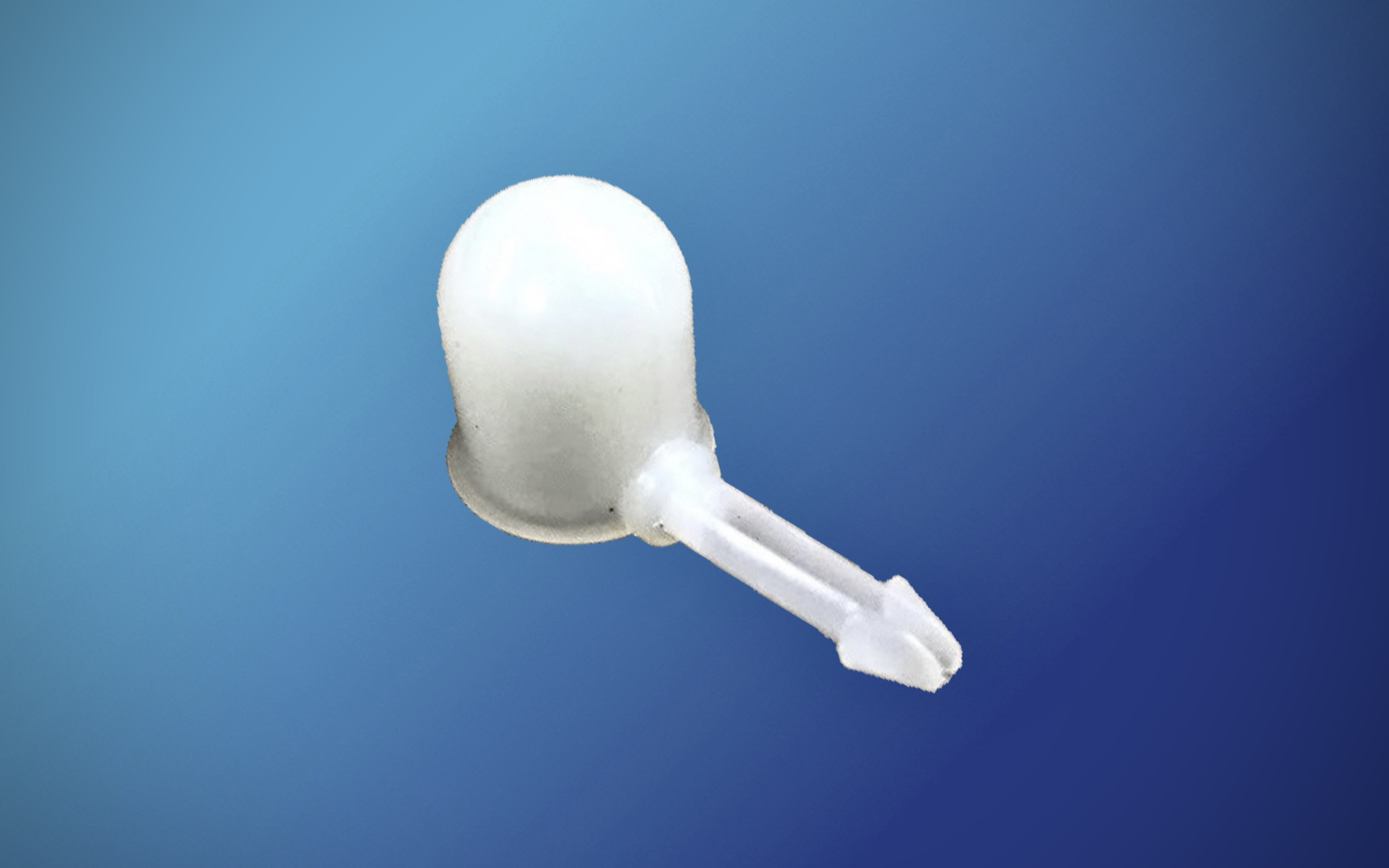 Lavazza Espresso Point Water Tank Float Cap/retainer - Etsy