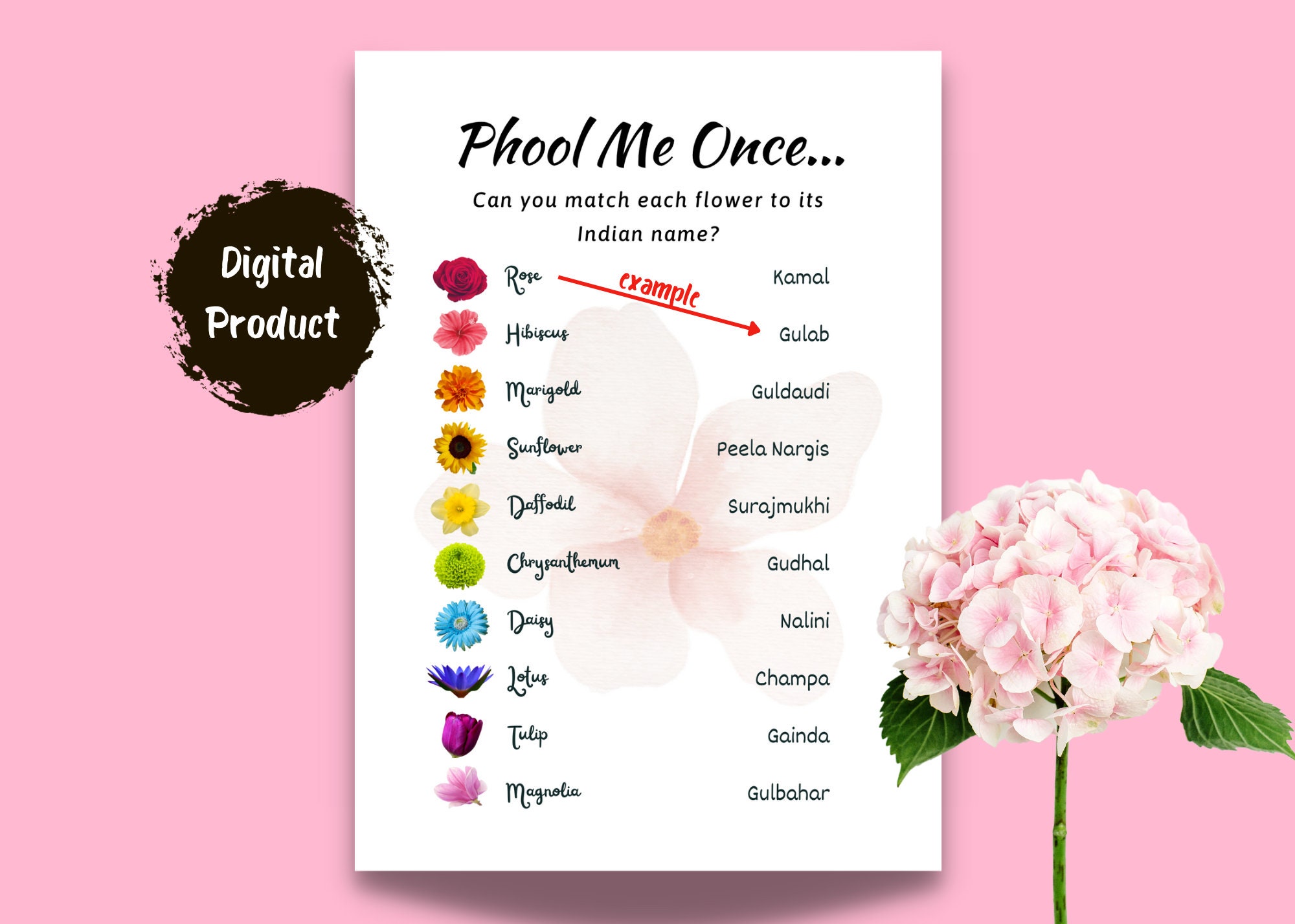 Hindi Flower Game: Phool Me Once...can You Match Each Flower to Its ...