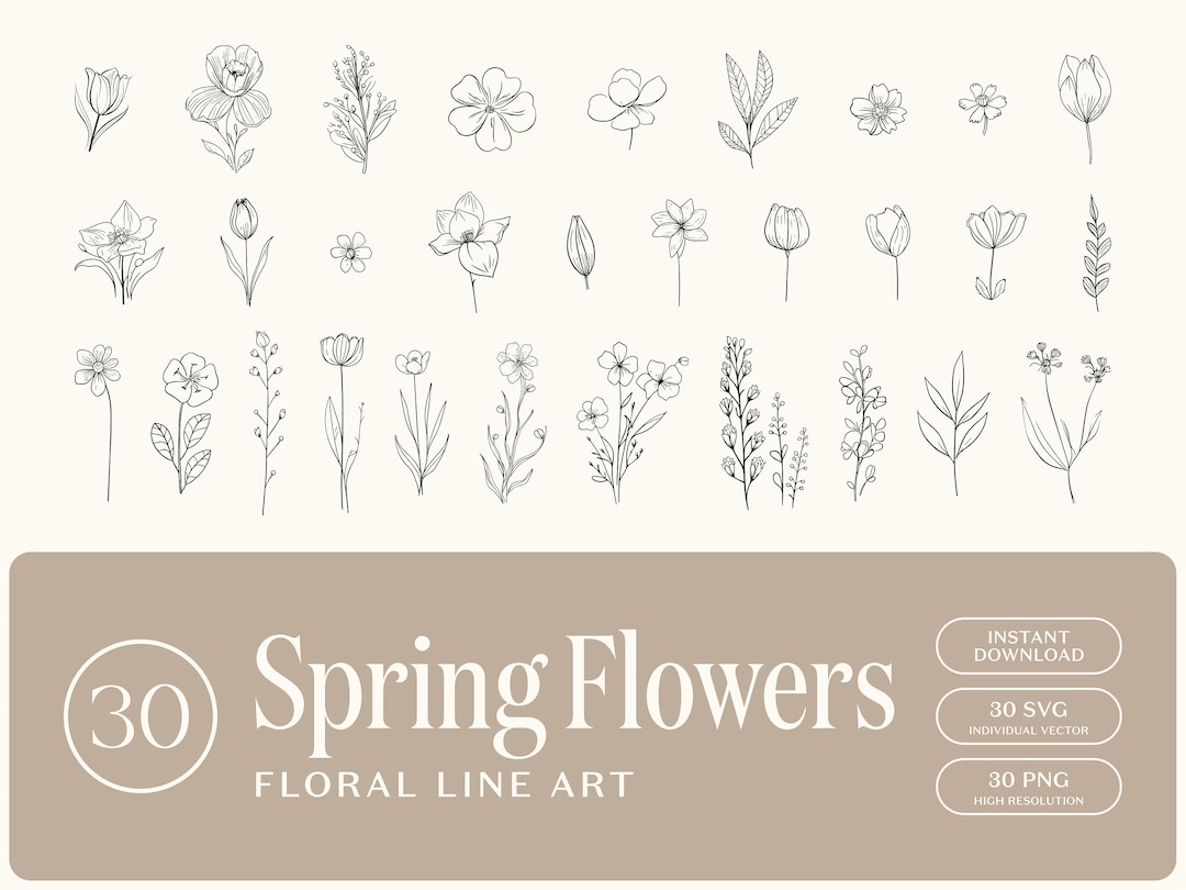 Spring Flowers Floral Line Art, Flower Line Art, SVG, PNG, Wedding ...