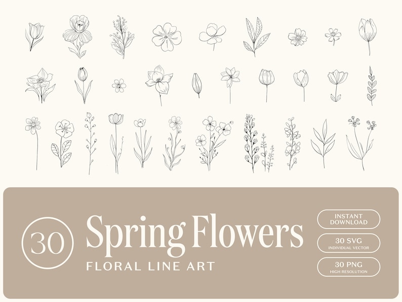 Spring Flowers Floral Line Art, Flower Line Art, SVG, PNG, Wedding ...