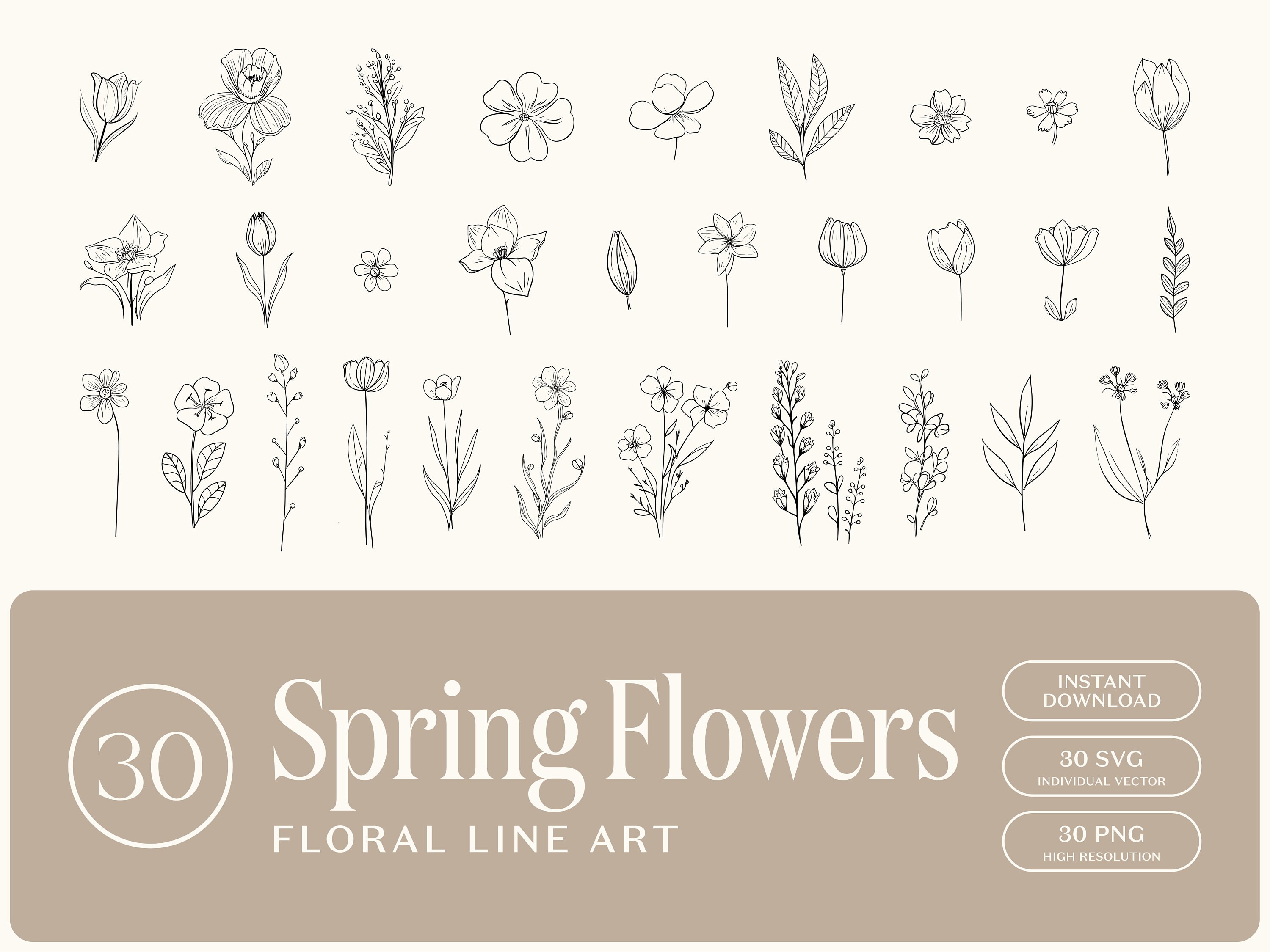Spring Flowers Floral Line Art, Flower Line Art, SVG, PNG, Wedding ...