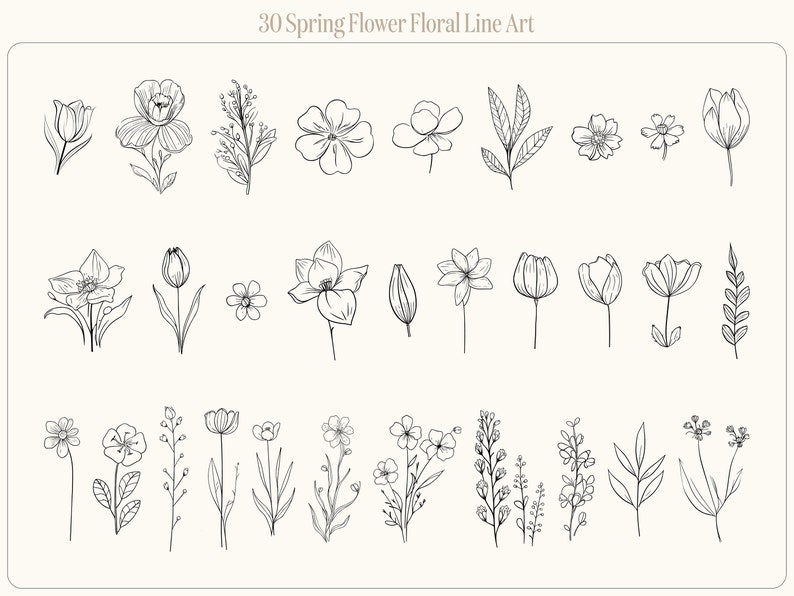 Spring Flowers Floral Line Art, Flower Line Art, SVG, PNG, Wedding ...
