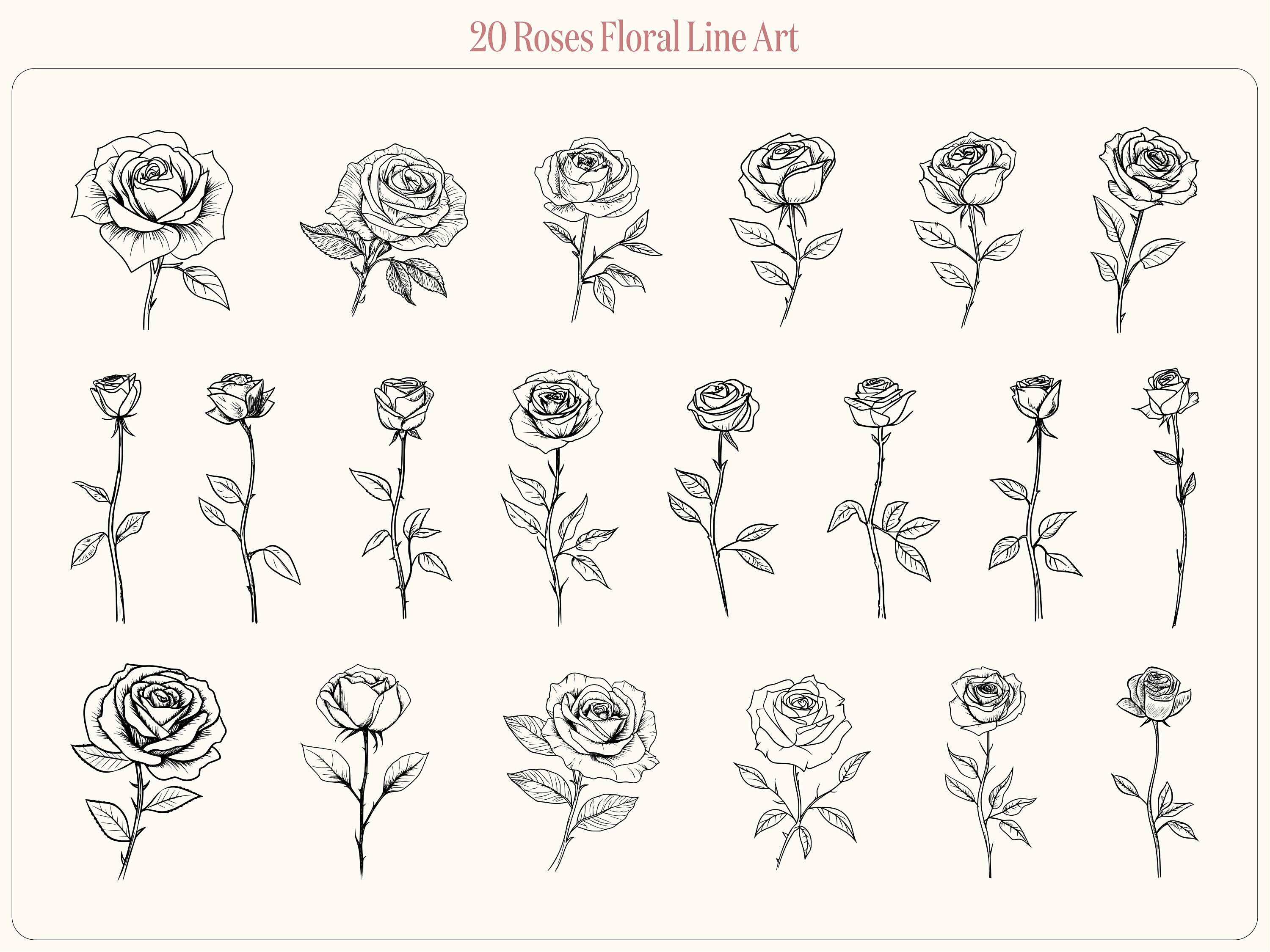 Rose Floral Line Art, Flower Line Art, SVG, PNG, Wedding Flowers, Hand ...