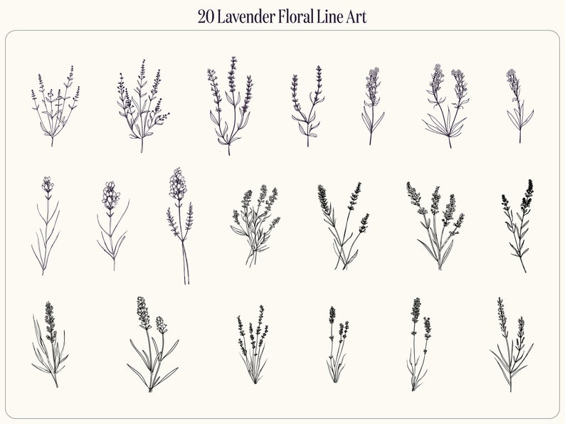 Lavender Floral Line Art, Flower Line Art, SVG, PNG, Wedding Flowers ...