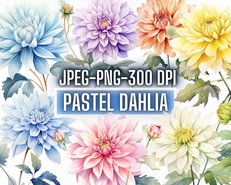 30 Watercolor Dahlia Flower Clip Art Bundle,pastel Pink Blue Yellow Png ...
