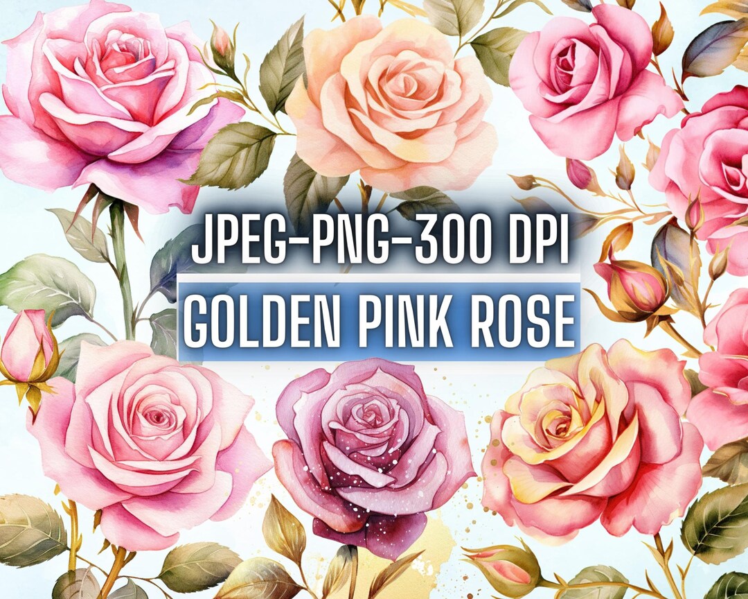 30 Watercolor Golden Pink Rose Flower Clip Art Bundle Rose - Etsy
