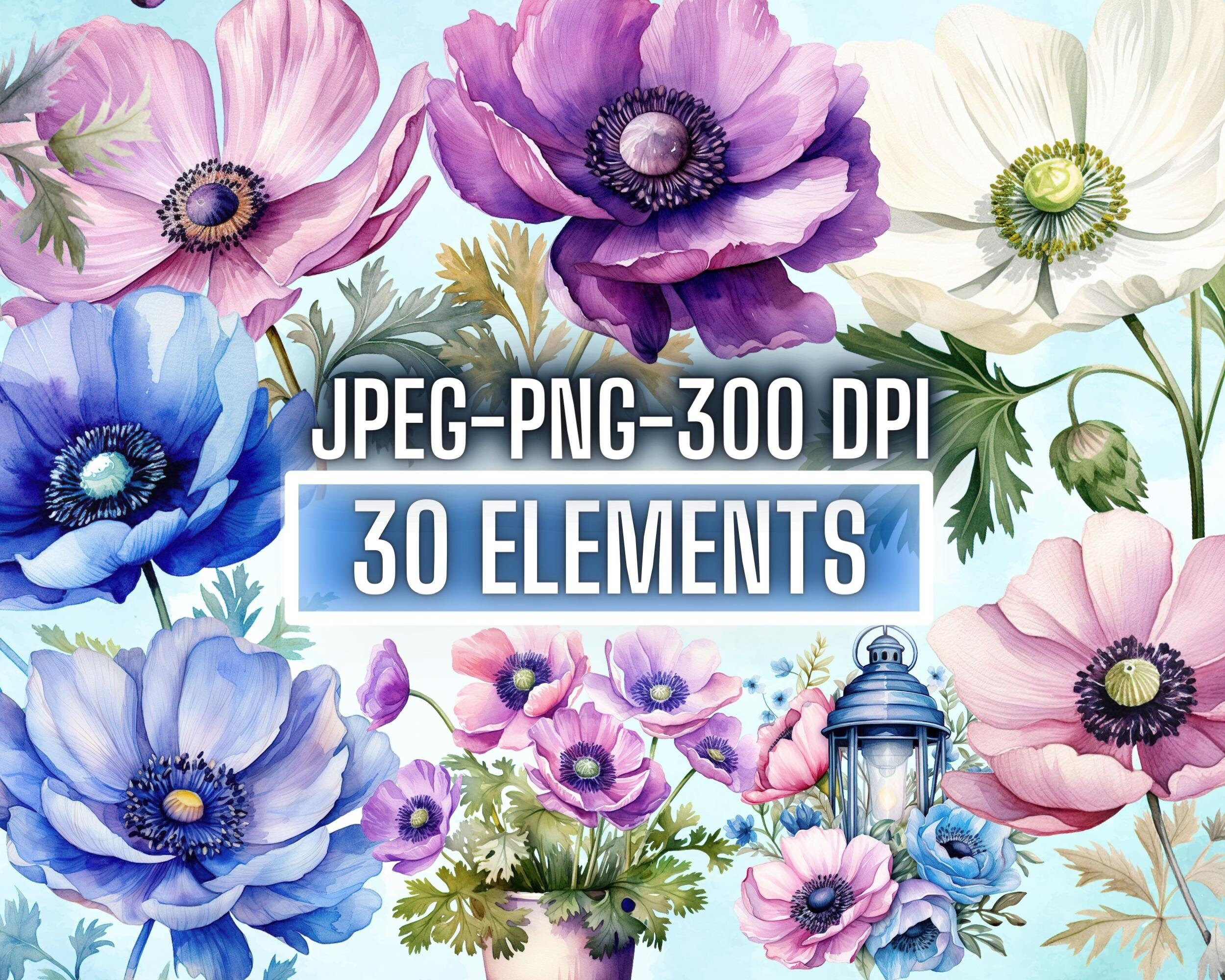 30 Watercolor Anemone Flower Clip Art Bundle, Floral Png Stickers ...