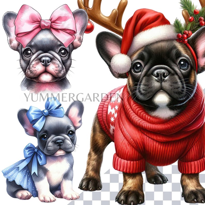 Christmas French Bulldog Clipart Bundle, Holiday Frenchie Dog PNG ...