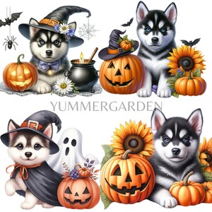 Bundle 30+ Halloween Husky Puppy Clipart, Cute Husky PNG Bundle, Kawaii ...