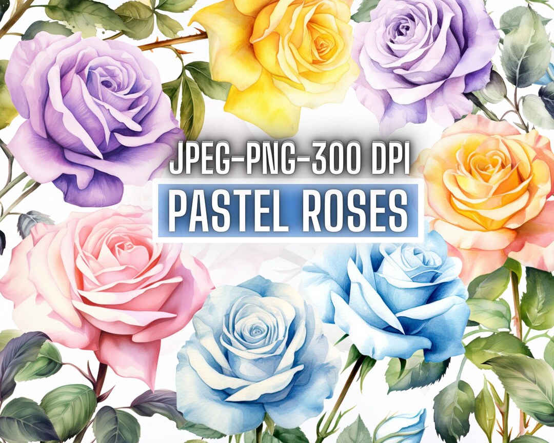 44 Watercolor Pastel Roses Clip Art Bundle Pink Blue Peach - Etsy