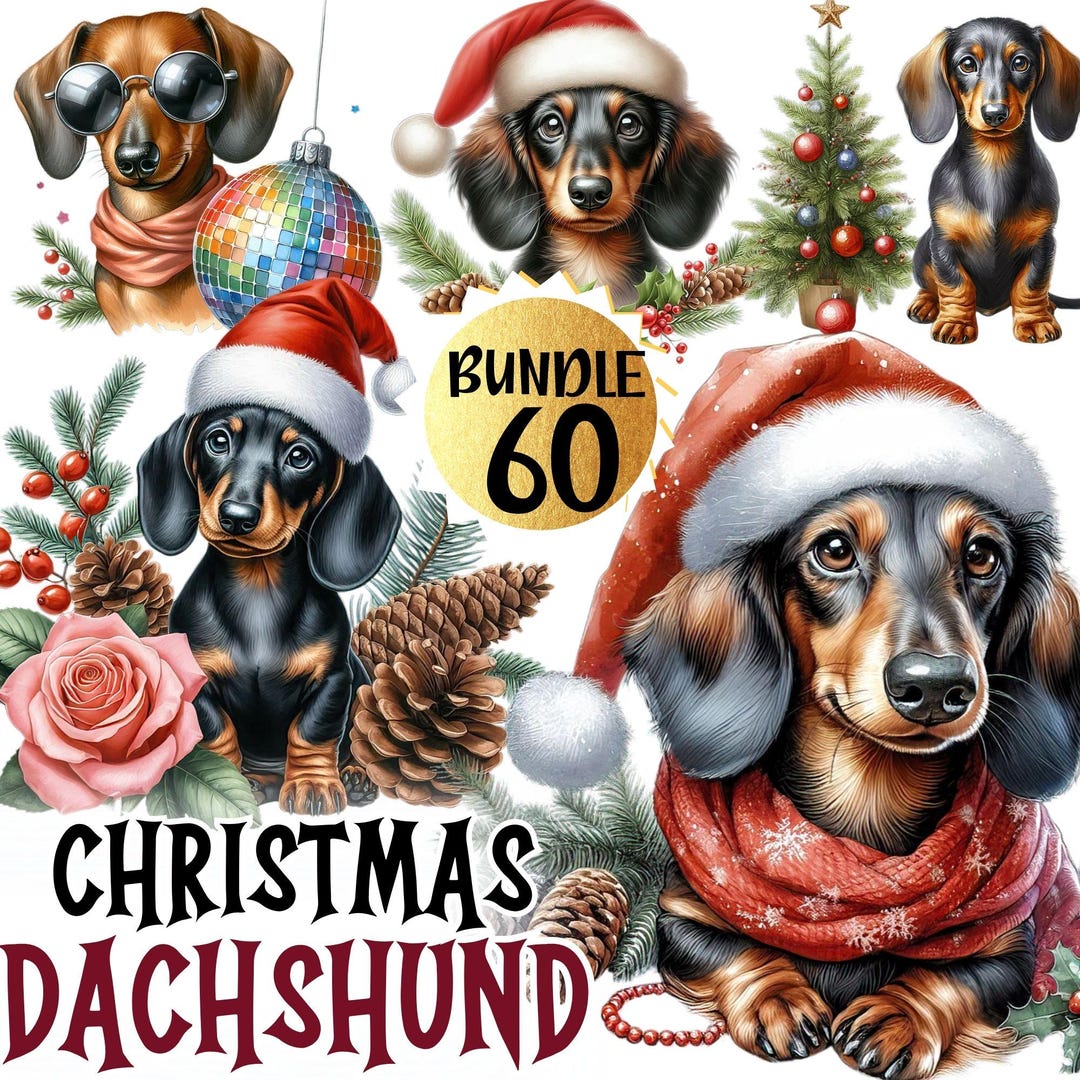 Christmas Dachshund Clipart Bundle, Festive Sausage Dog PNG Set (60 ...