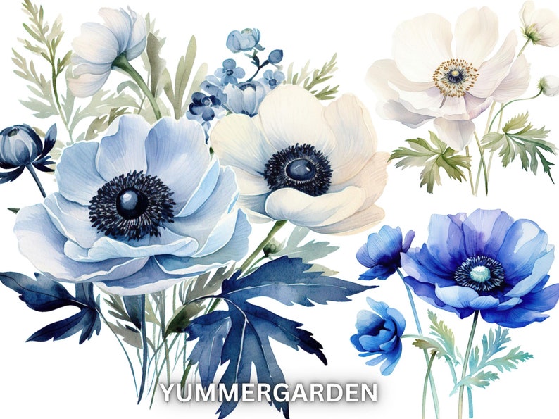 30 Watercolor Anemone Flower Clip Art Bundle, Floral Png Stickers ...