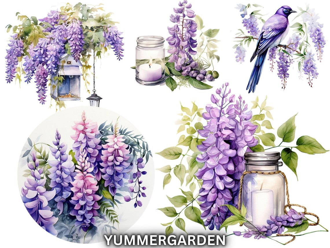 32 Watercolor Wisteria Purple Flower Clip Art Bundleviolet - Etsy