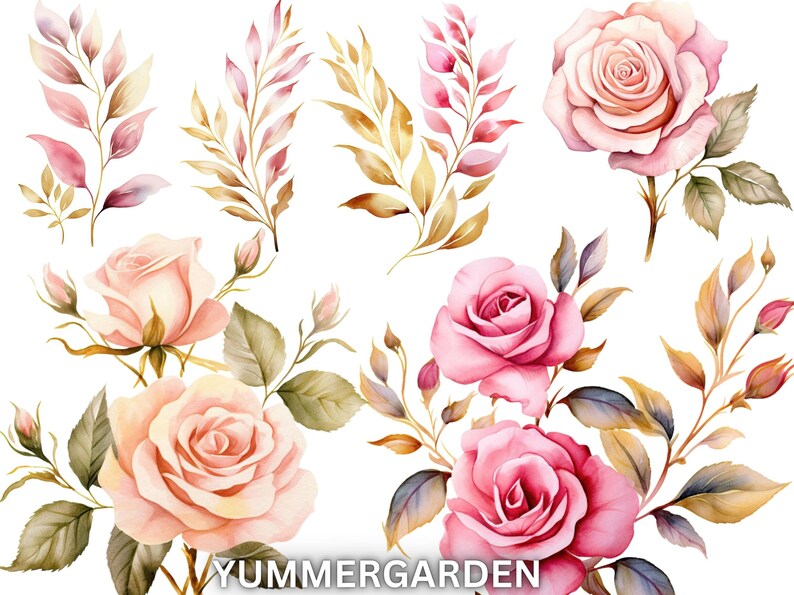 30 Watercolor Golden Pink Rose Flower Clip Art Bundle Rose - Etsy