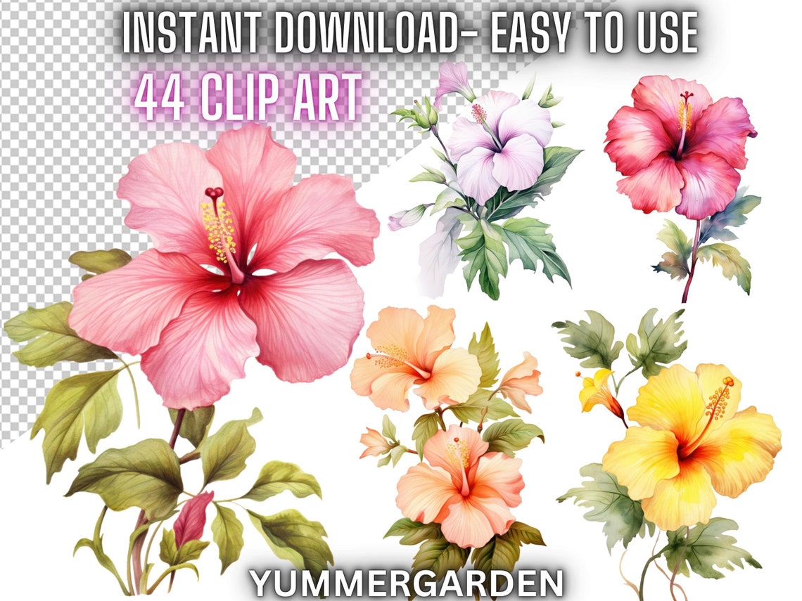 44 Watercolor Hibiscus Flower Clip Art Bundle, Hawaii Floral Png ...