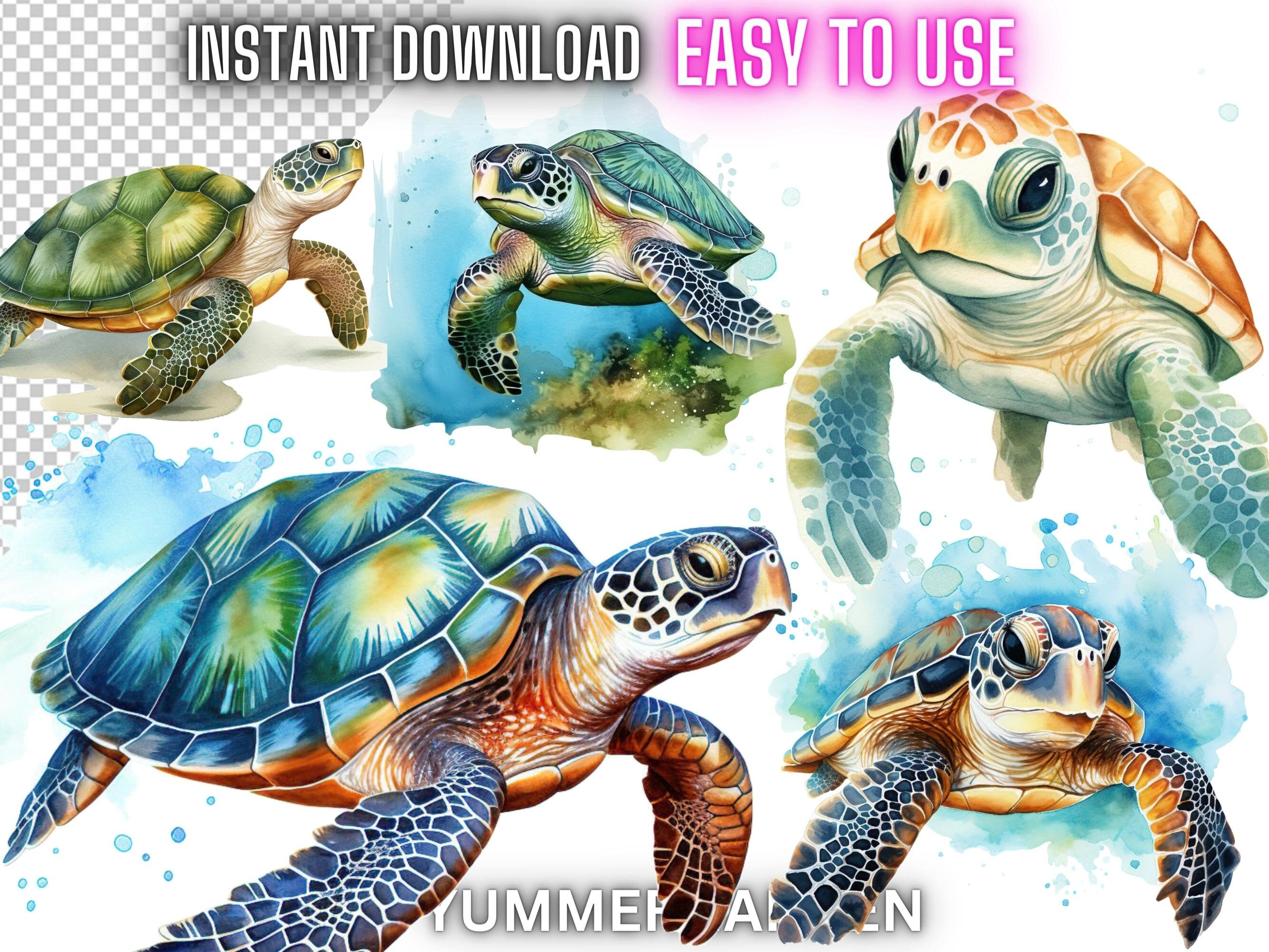 18 Watercolor Sea Turtles, Baby Animal Clip Art Bundle, Kawaii Turtle ...