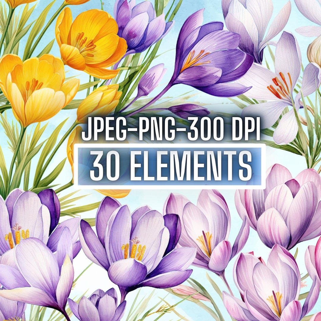30 Watercolor Crocus Flower Clip Art Bundle,crocus Png Printable ...