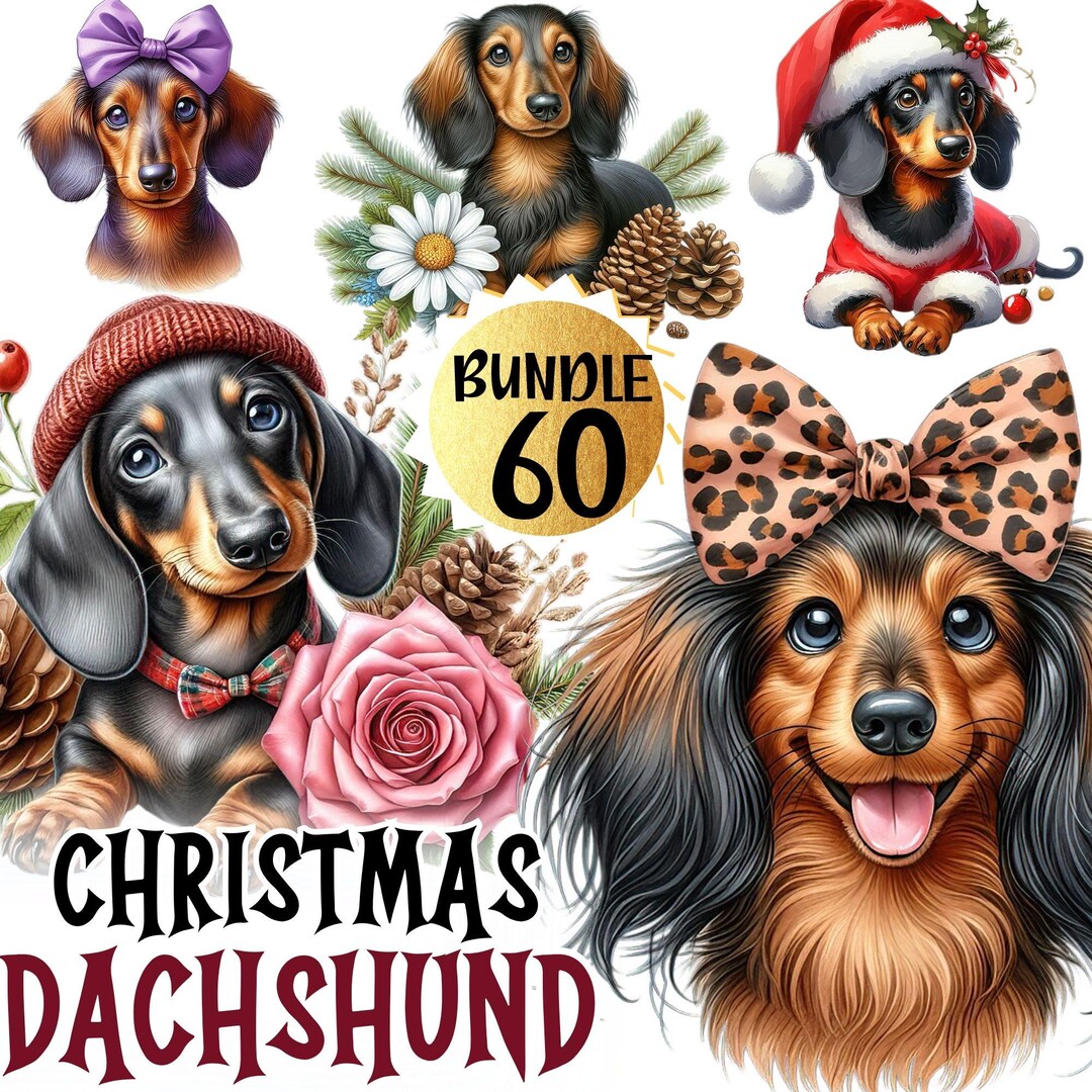 Christmas Dachshund Clipart Bundle, Coquette Bow Weiner Dog PNG Bundle ...