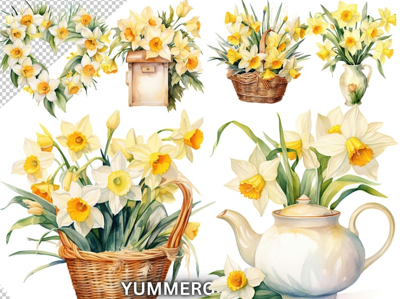 34 Watercolor Daffodil Flowers Clip Art Bundle, Pink Yellow Watercolor ...