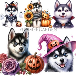 Bundle 30+ Halloween Husky Puppy Clipart, Cute Husky PNG Bundle, Kawaii ...