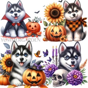 Bundle 30+ Halloween Husky Puppy Clipart, Cute Husky PNG Bundle, Kawaii ...