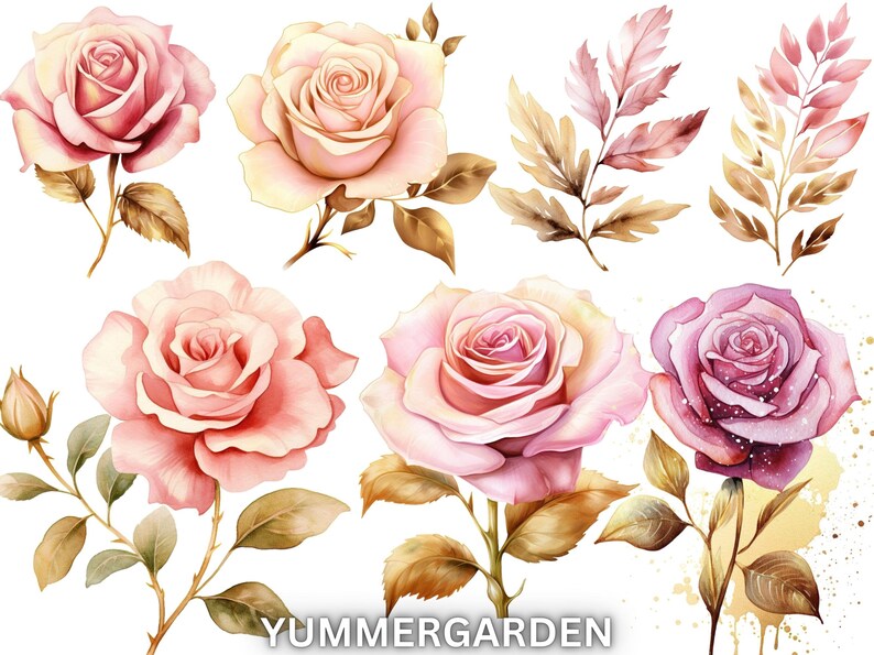 30 Watercolor Golden Pink Rose Flower Clip Art Bundle Rose - Etsy
