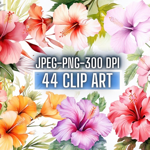 Hibiscus Clip Art - Etsy