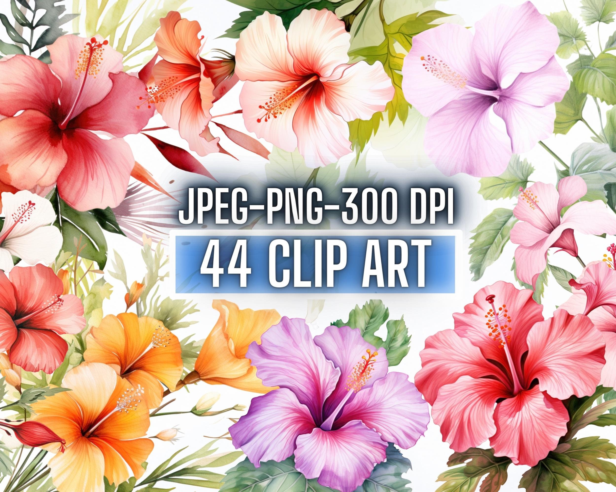 44 Watercolor Hibiscus Flower Clip Art Bundle, Hawaii Floral Png ...