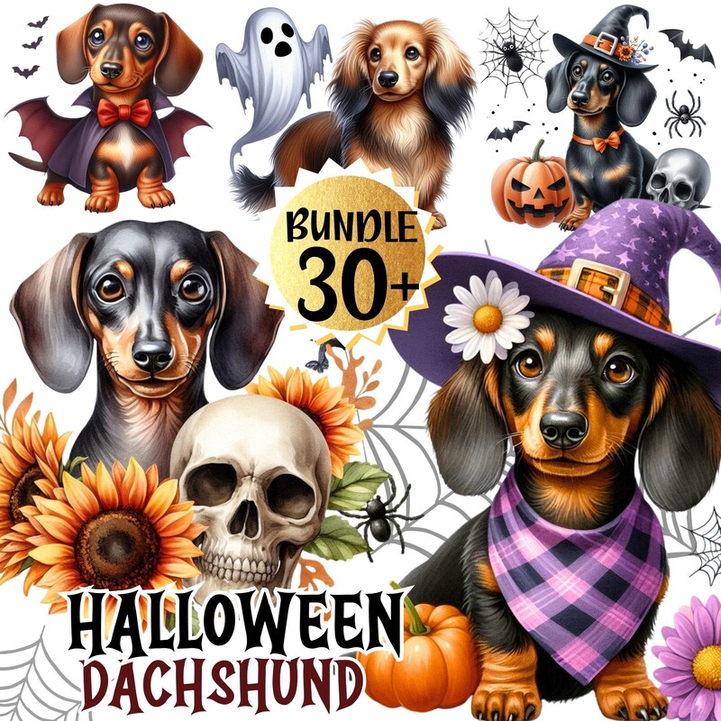 Halloween Dachshund - Etsy