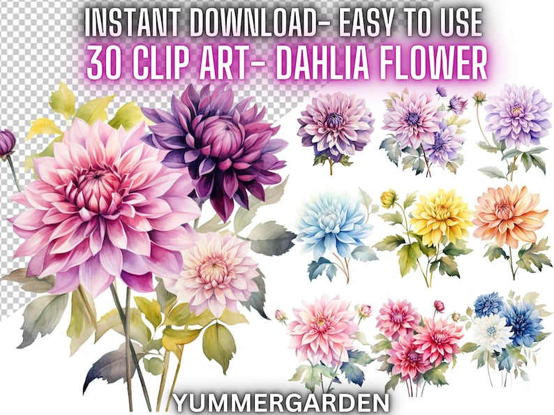 30 Watercolor Dahlia Flower Clip Art Bundle,pastel Pink Blue Yellow Png ...