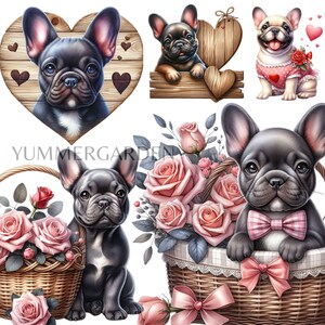 Frenchie Valentine Clipart Bundle, French Bulldog Valentine's Day ...