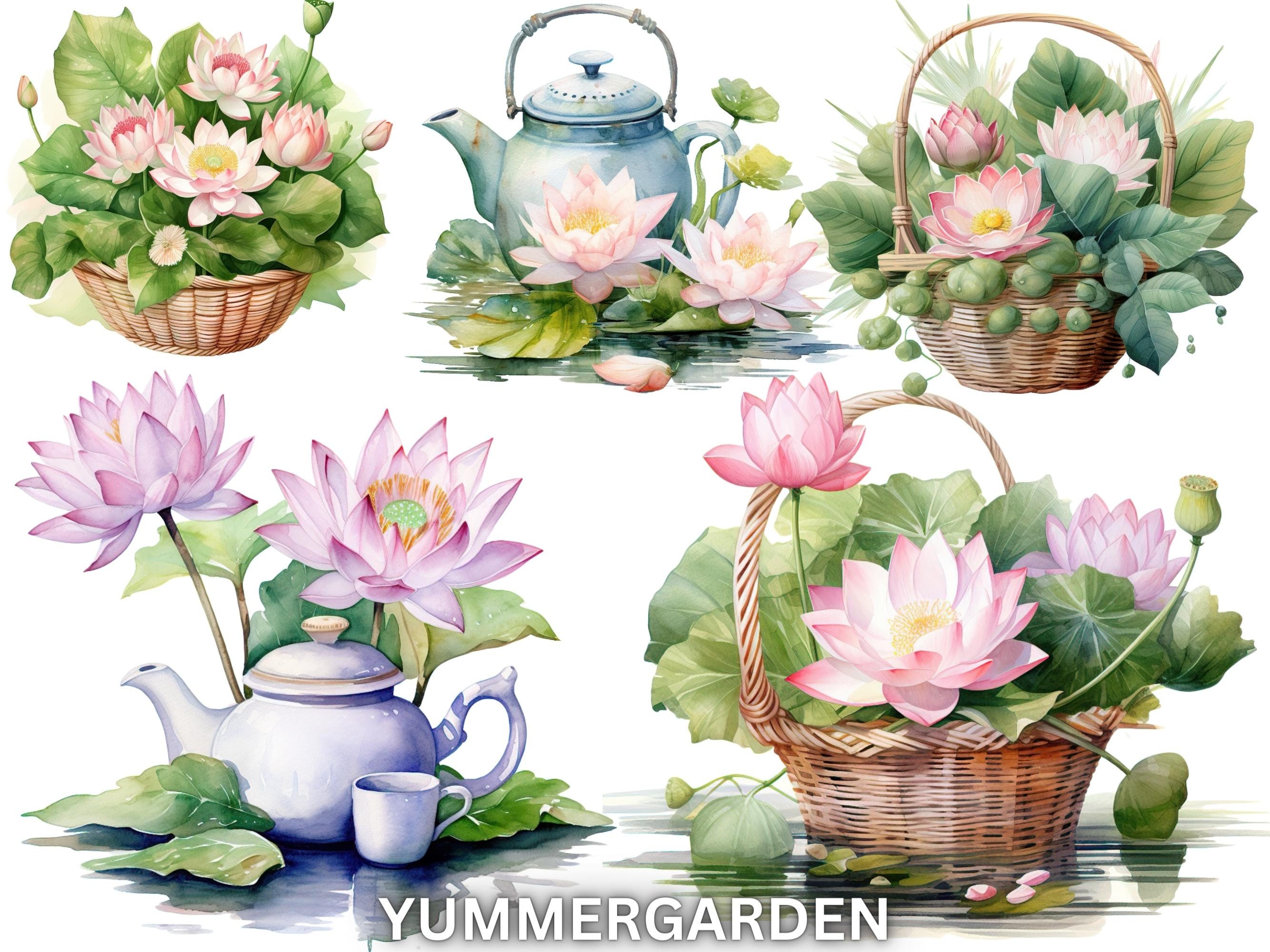 30 Watercolor Lotus Flower Clip Art Bundle,lotus Frog Png Sublimation ...