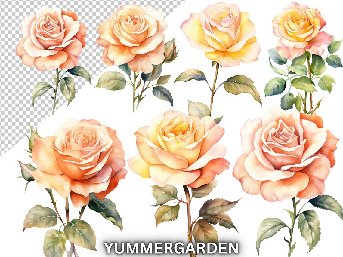44 Watercolor Pastel Roses Clip Art Bundle Pink Blue Peach - Etsy