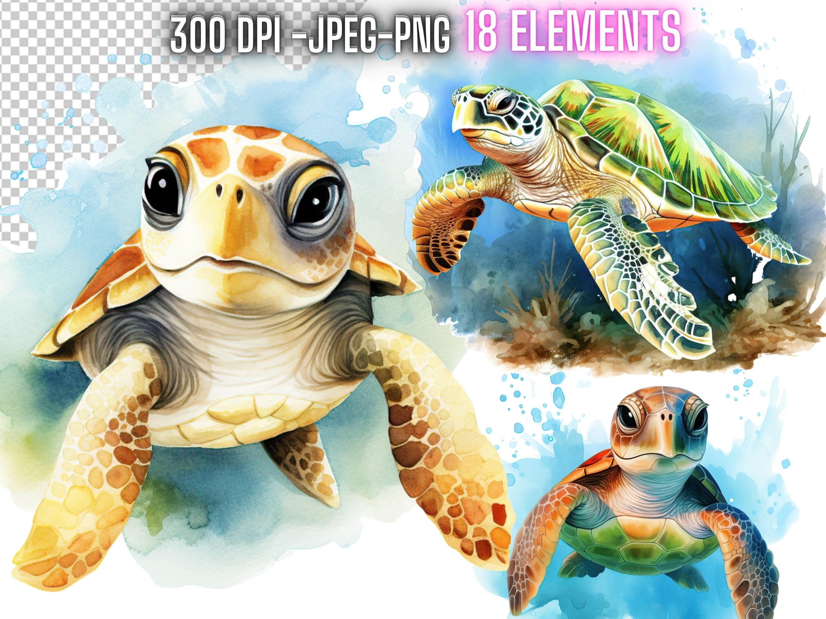 18 Watercolor Sea Turtles, Baby Animal Clip Art Bundle, Kawaii Turtle ...