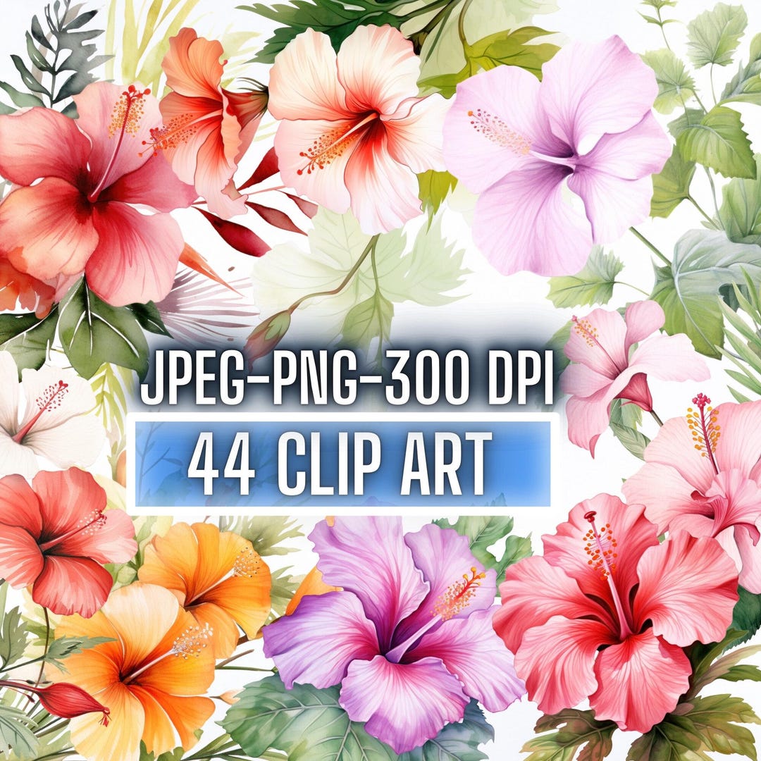 44 Watercolor Hibiscus Flower Clip Art Bundle, Hawaii Floral Png ...