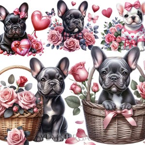 Frenchie Valentine Clipart Bundle, French Bulldog Valentine's Day ...
