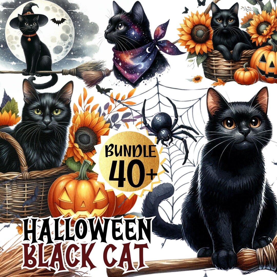 Bundle 40+ Halloween Black Cat Clipart, Cat and Sunflower Pumkin ...