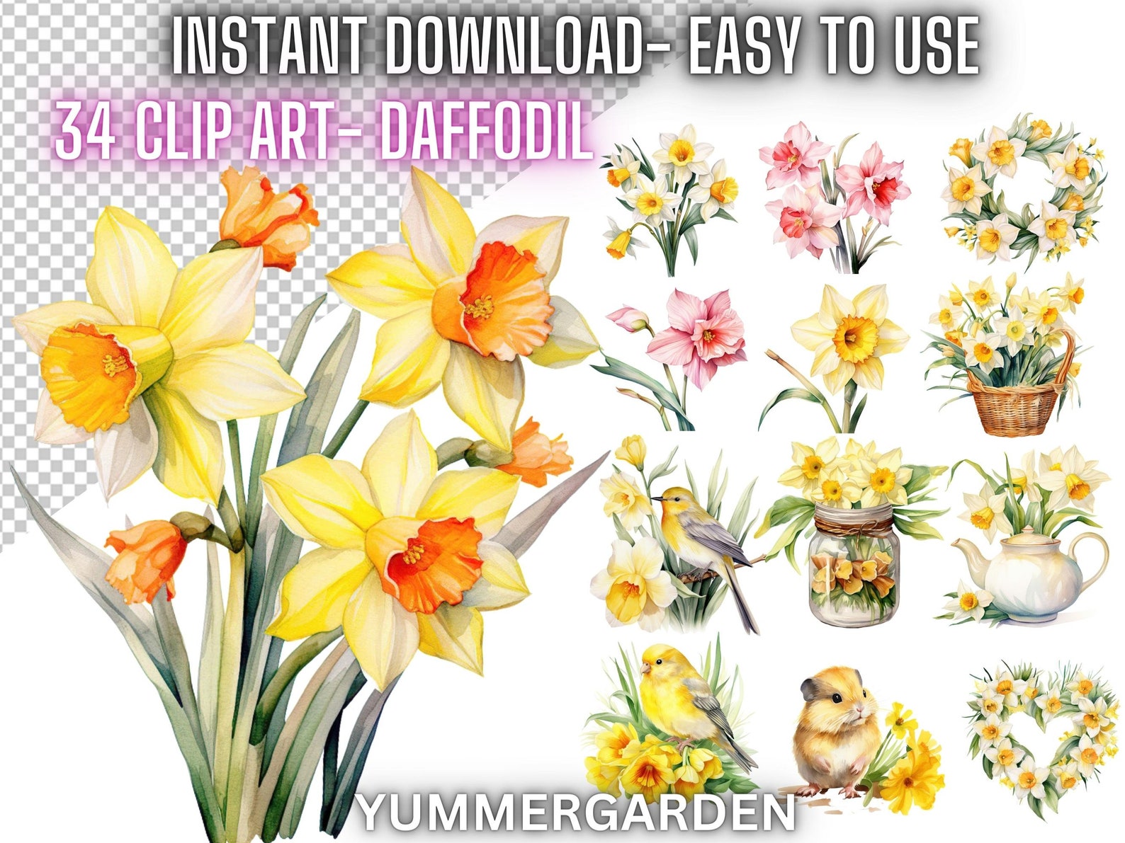34 Watercolor Daffodil Flowers Clip Art Bundle, Pink Yellow Watercolor ...
