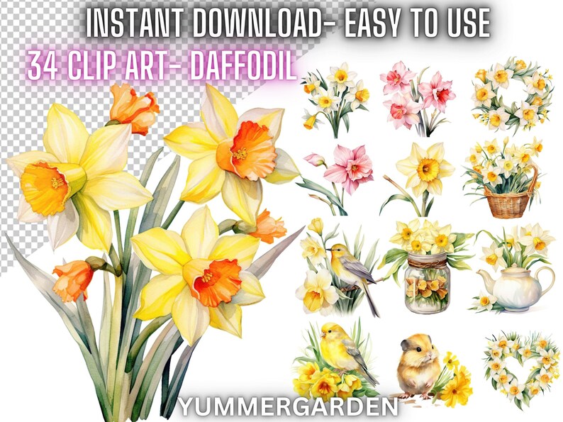 34 Watercolor Daffodil Flowers Clip Art Bundle, Pink Yellow Watercolor ...