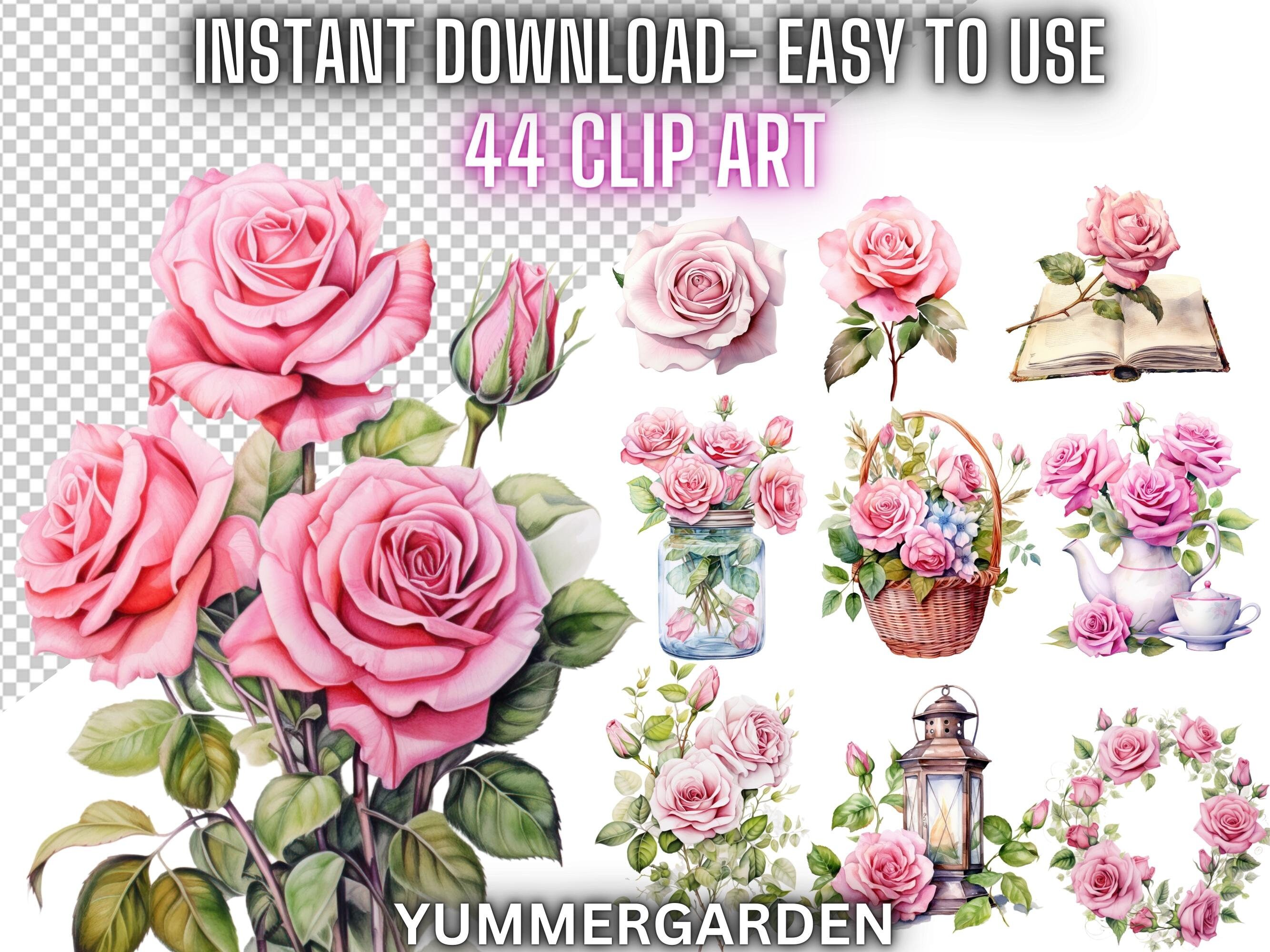 44 Watercolor Pastel Pink Rose Clip Art Bundle, Pink Floral Sublimation ...