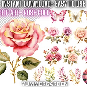 30 Watercolor Golden Pink Rose Flower Clip Art Bundle, Rose Gold PNG ...