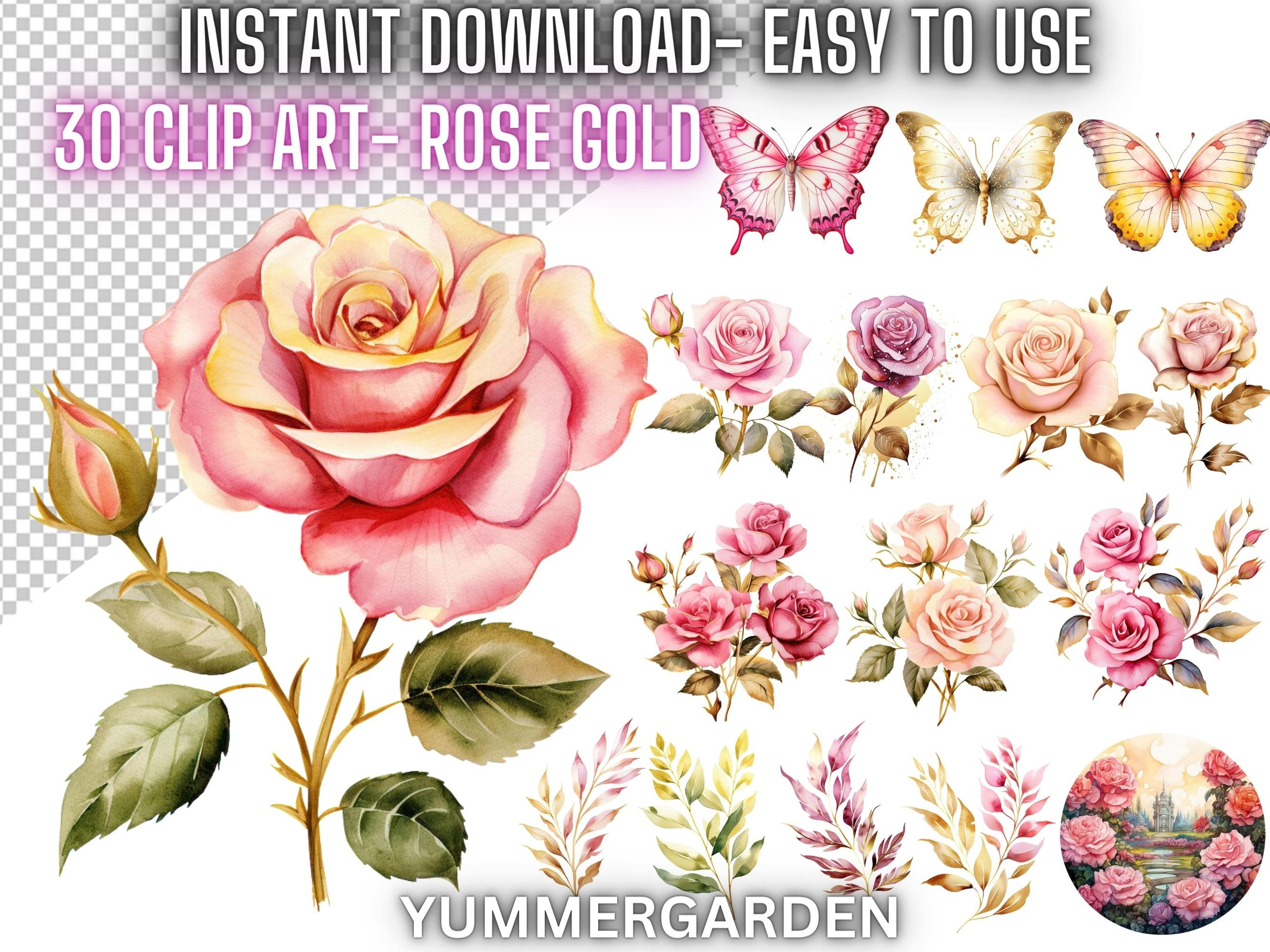 30 Watercolor Golden Pink Rose Flower Clip Art Bundle Rose - Etsy